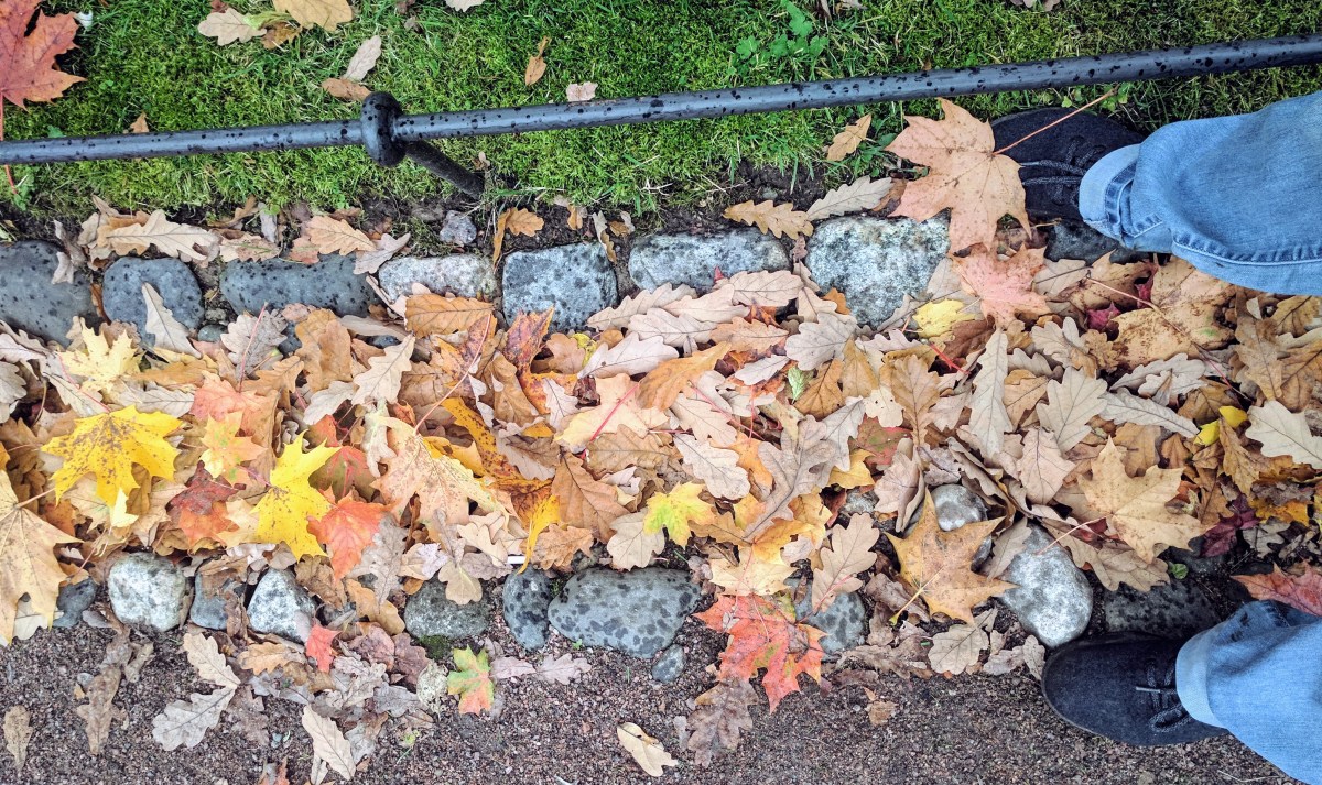 Sights and Sounds of Saint Petersburg in the Fall – Chloe J Sayers